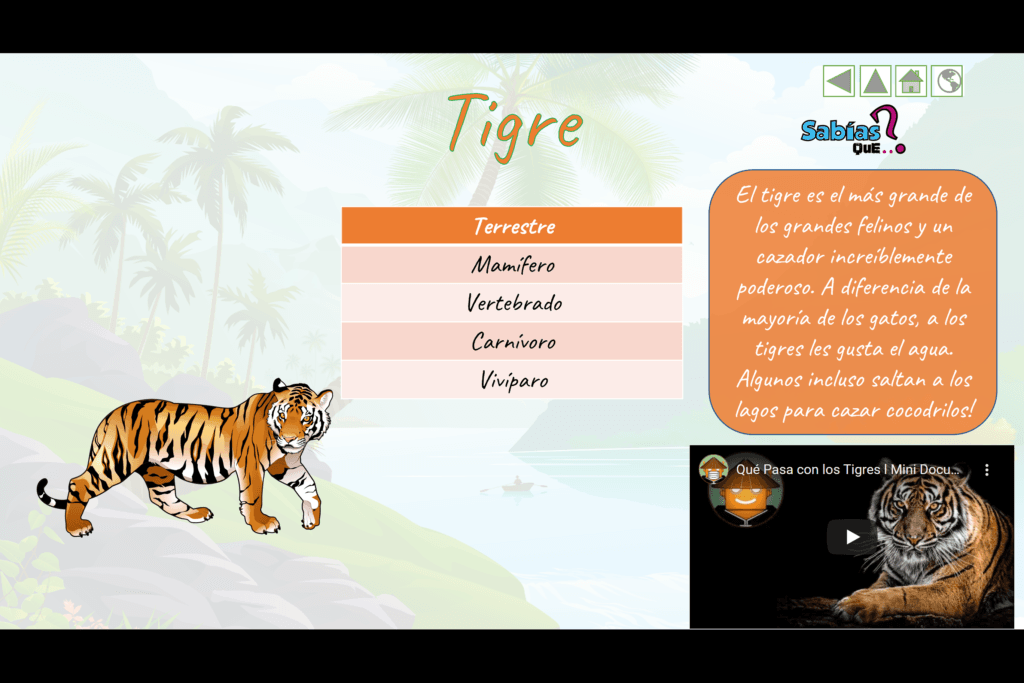 Atlas Interactivo de Animales y sus Ecosistemas - Ms. García Store