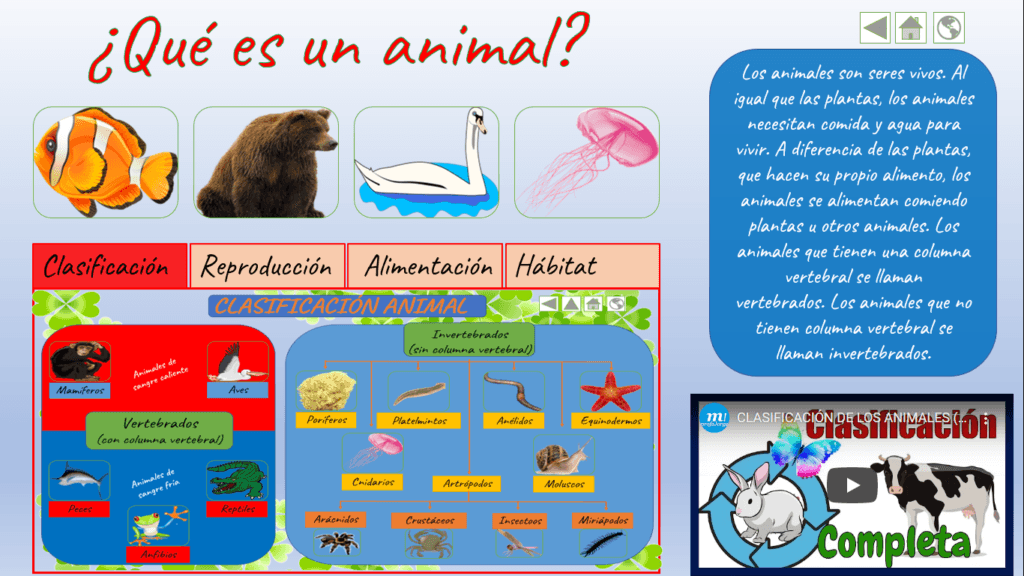 Atlas Interactivo de Animales y sus Ecosistemas - Ms. García Store